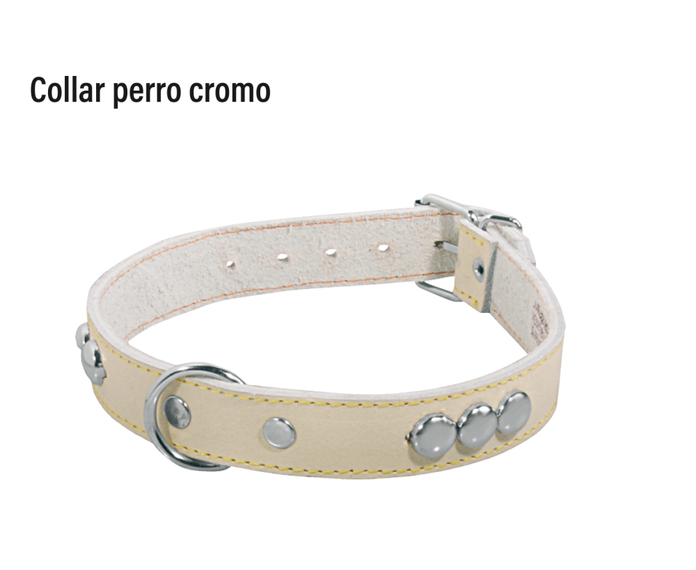 Collar perro cromo